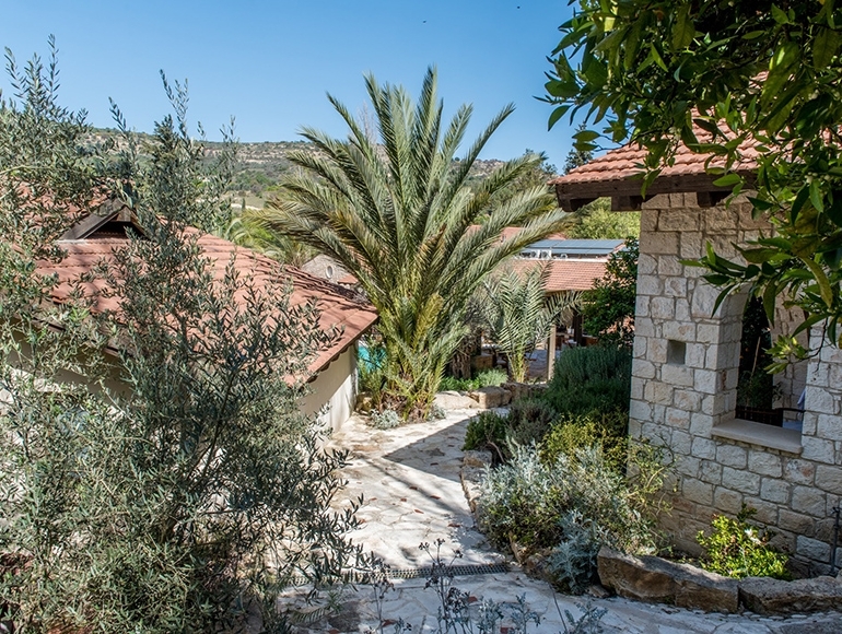 Secret forest By Yonik