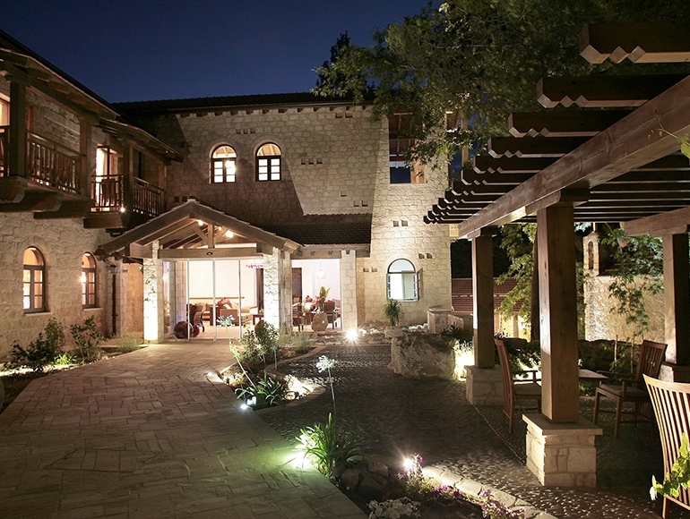 Secret forest By Yonik