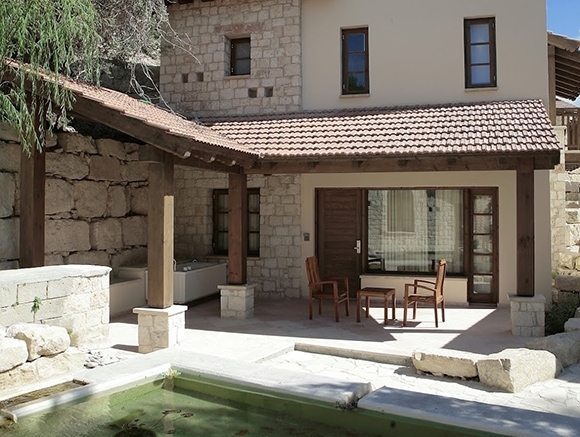 Secret forest By Yonik